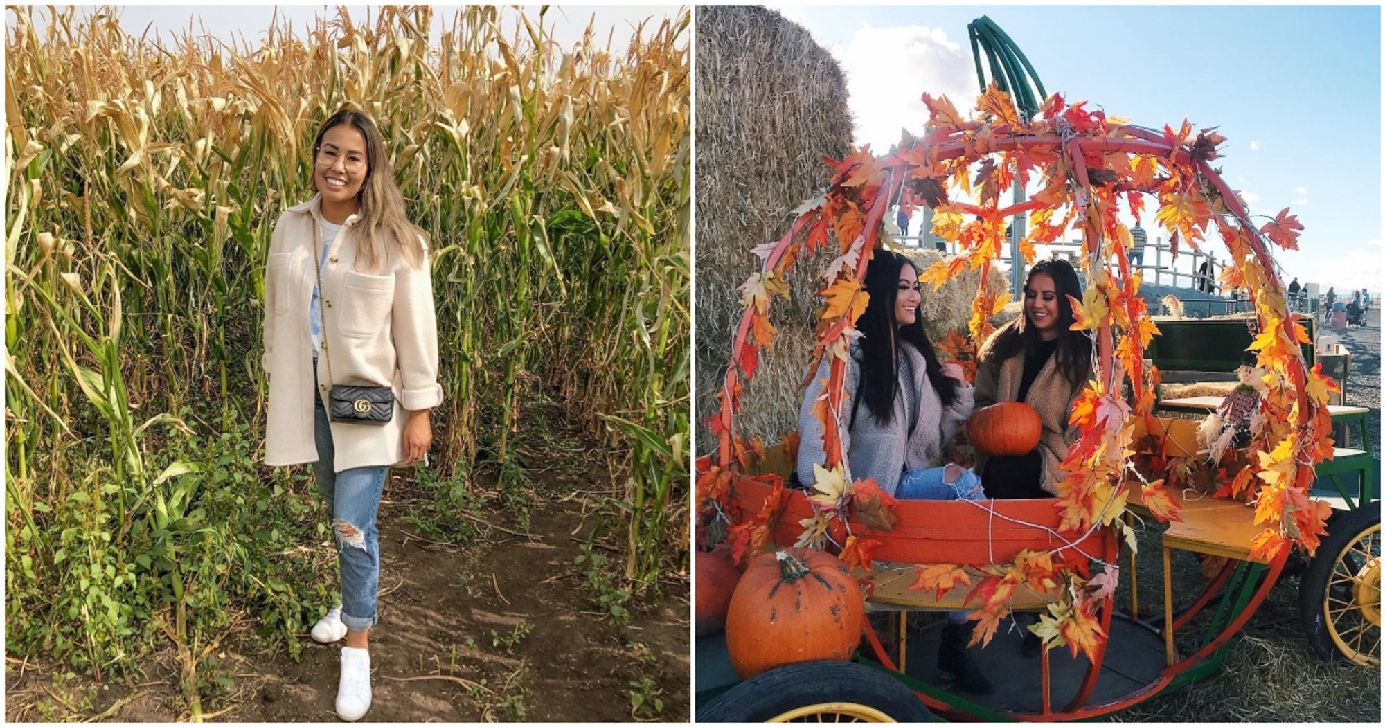 Calgary Farmyard Harvest Nights Is Filled With Thousands Of Twinkling ...