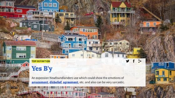 16 Newfoundland Slang Dictionary Terms All Canadian Need To Know - Narcity