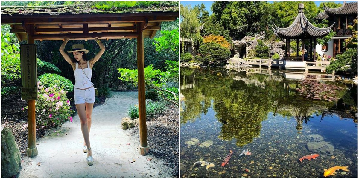 Morikami Museum Japanese Gardens Officially Reopen Next Week - Narcity