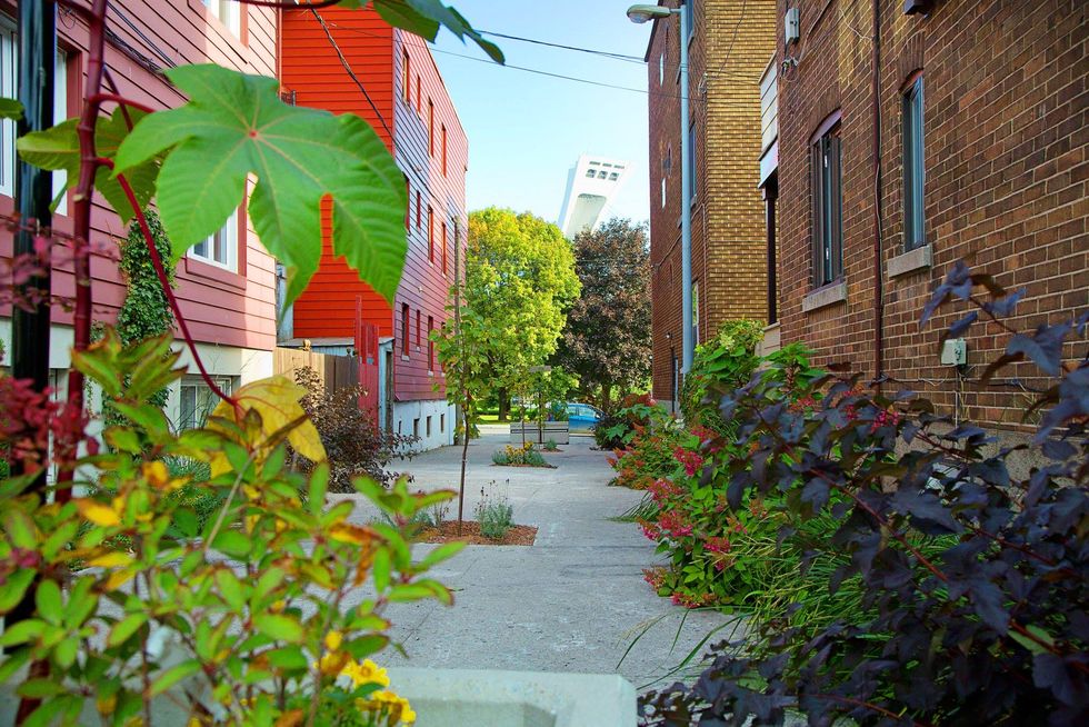 7 ruelles vertes à Montréal où prendre de jolies photos en nature sans ...