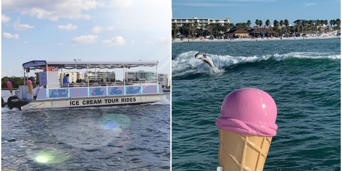 Cheap Dolphin Tour Near Tampa Also Serves Delicious Ice Cream - Narcity