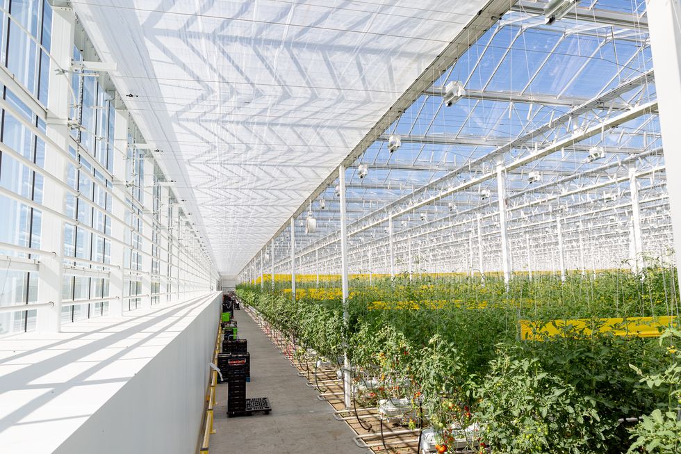 Fermes Lufa : Le plus grand jardin sur toit au monde se trouve à ...