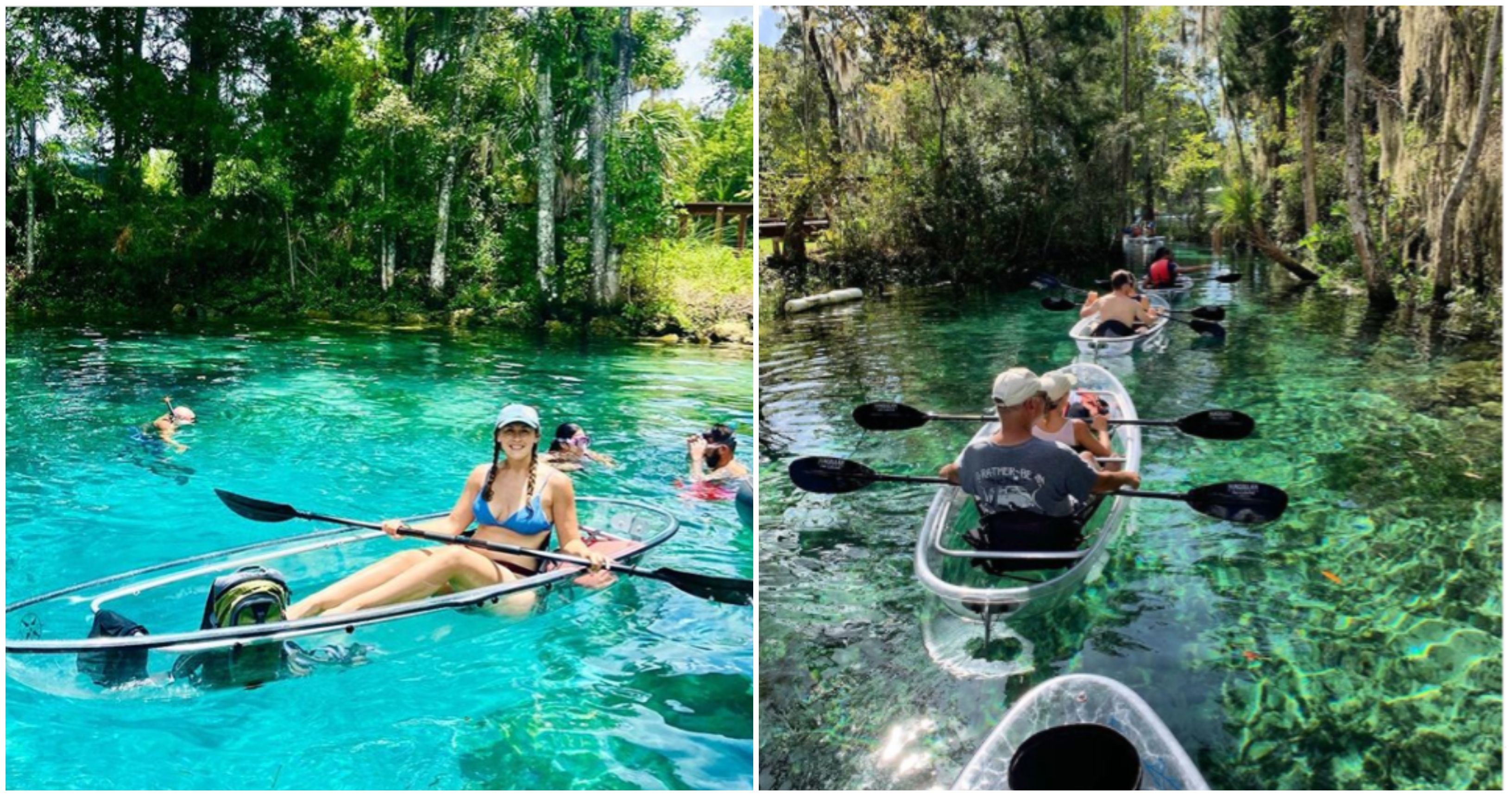 Clear Kayaking Tour Near Tampa Takes You Down A Jungle River - Narcity
