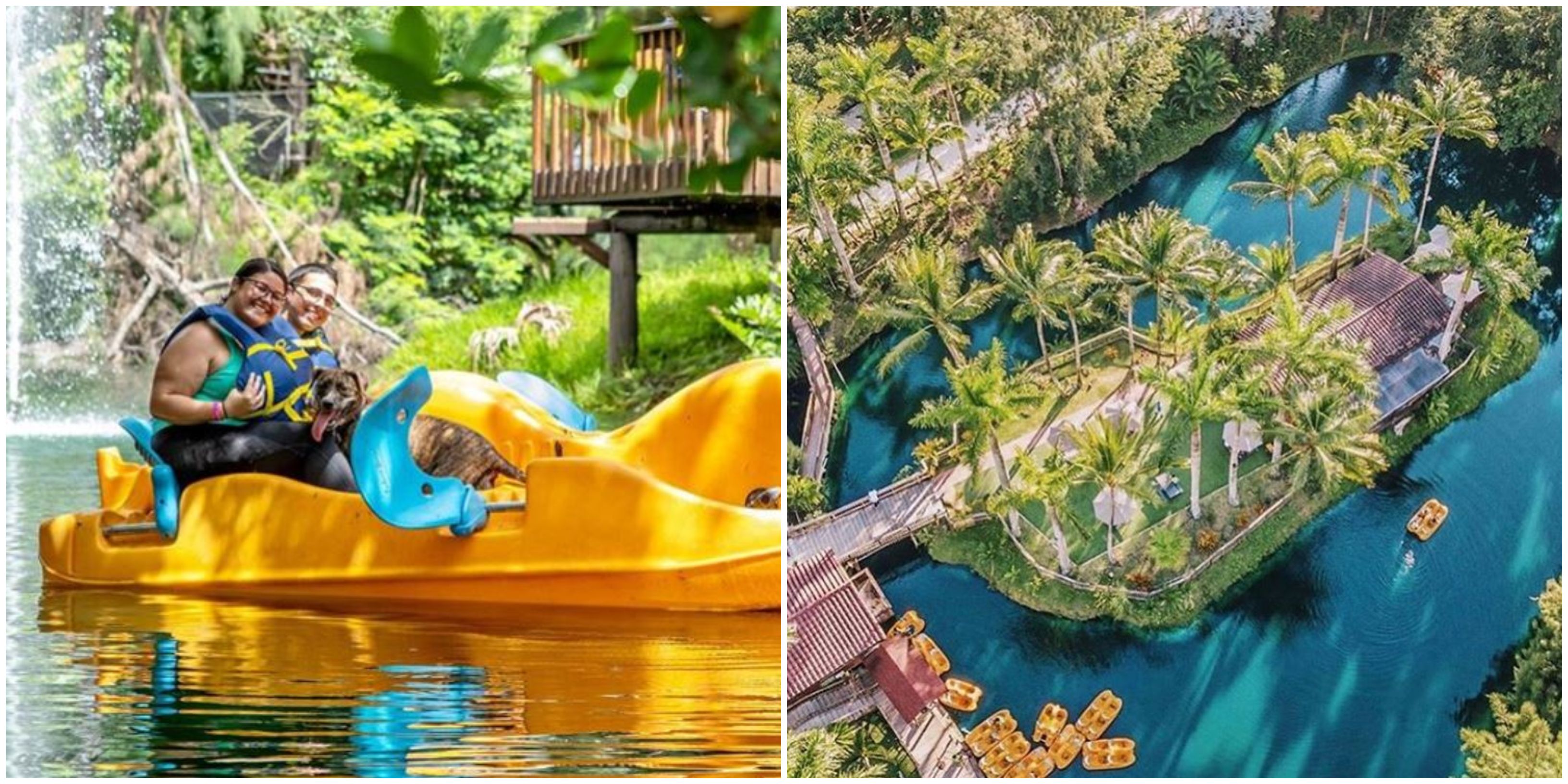 Miami Wildlife Sanctuary Pinto's Farm Let's You Paddle Around A Hidden ...