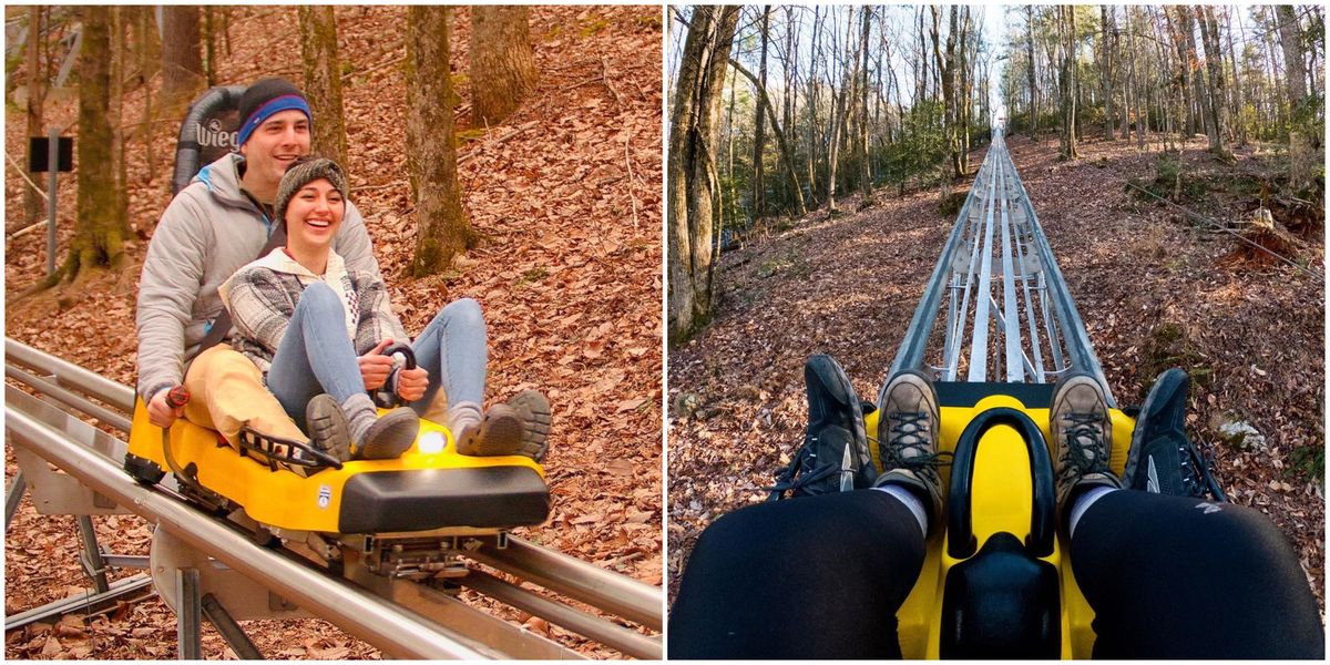 Georgia's First Alpine Coaster Has Reopened And Is Ready For Guests ...