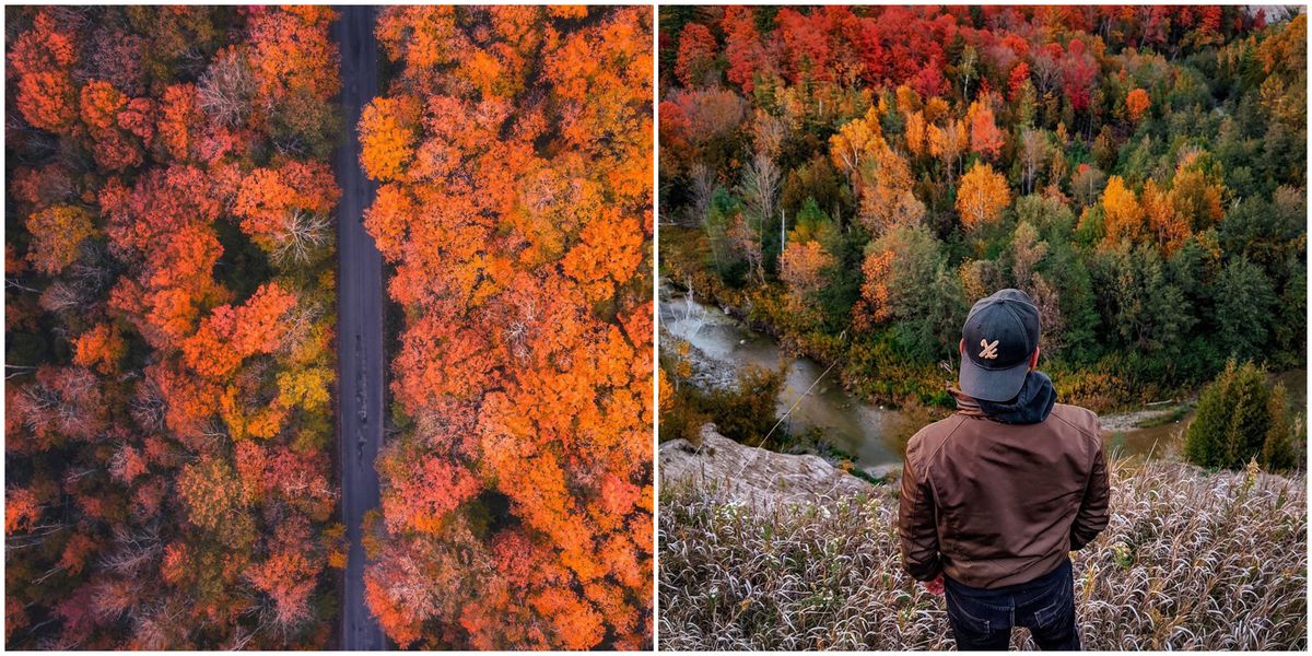 Fall Foliage in Ontario Is Beautiful At These Places (PHOTOS) - Narcity
