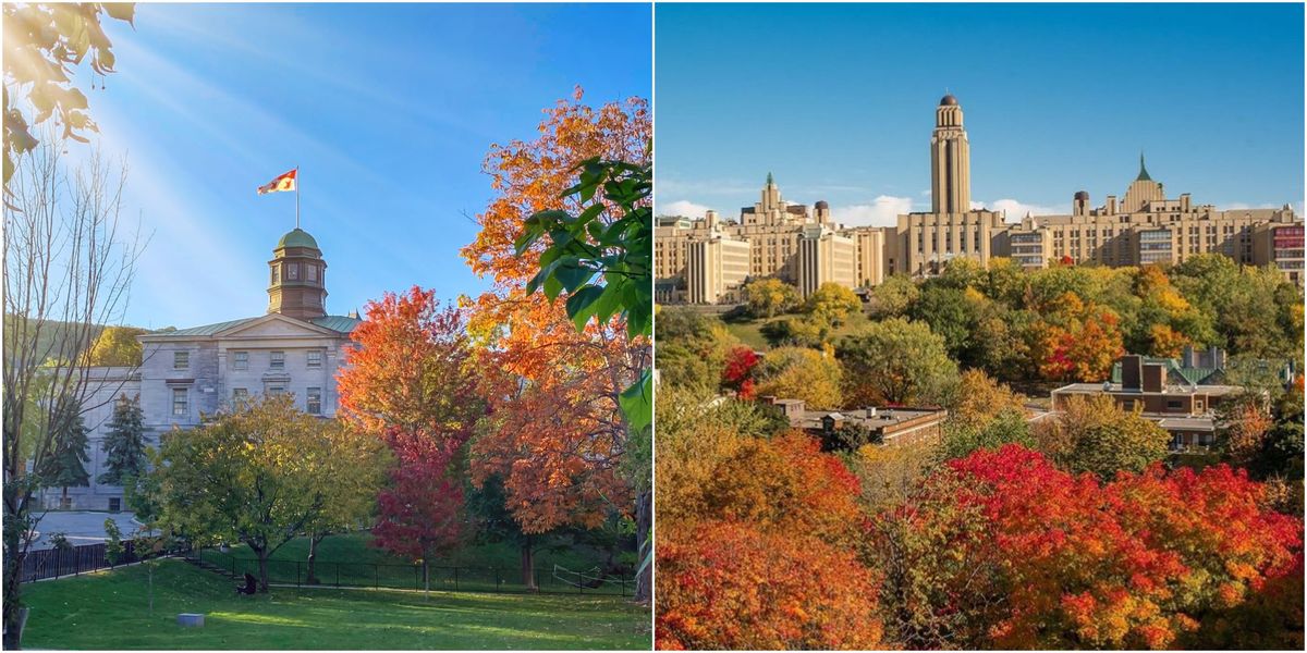 Meilleures universités au Canada : 2 universités québécoises se ...