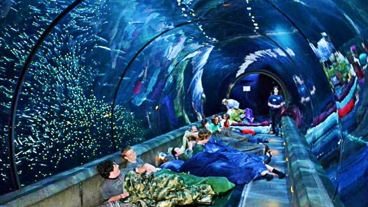 6 Fun Places In Toronto To Have A Sleepover With Your Friends Narcity 6-fun-places-in-toronto-to-have-a-sleepover-with-your-friends-narcity