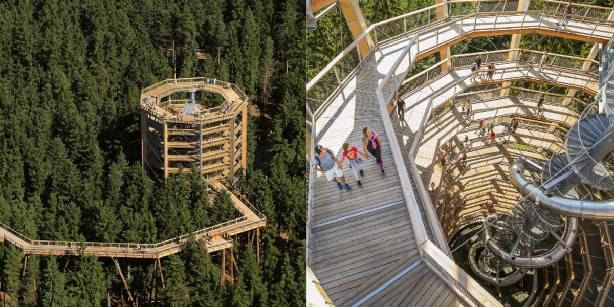 Le Sentier des cimes dans les Laurentides débarque en 2022 (PHOTOS ...