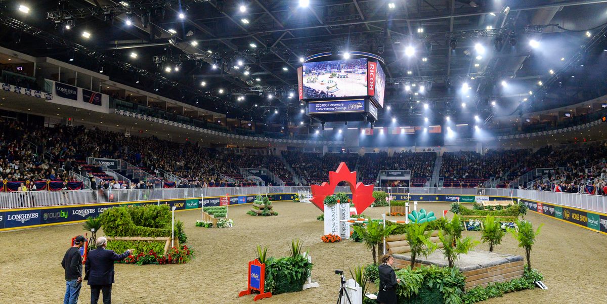 2021 Royal Winter Fair Is Set To Happen In Toronto - Narcity