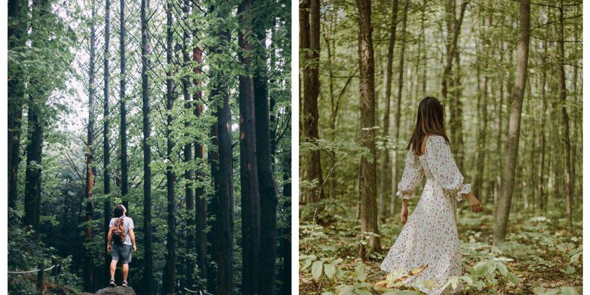 Here's How Japanese Forest Bathing Can Benefit You For The Better - Narcity