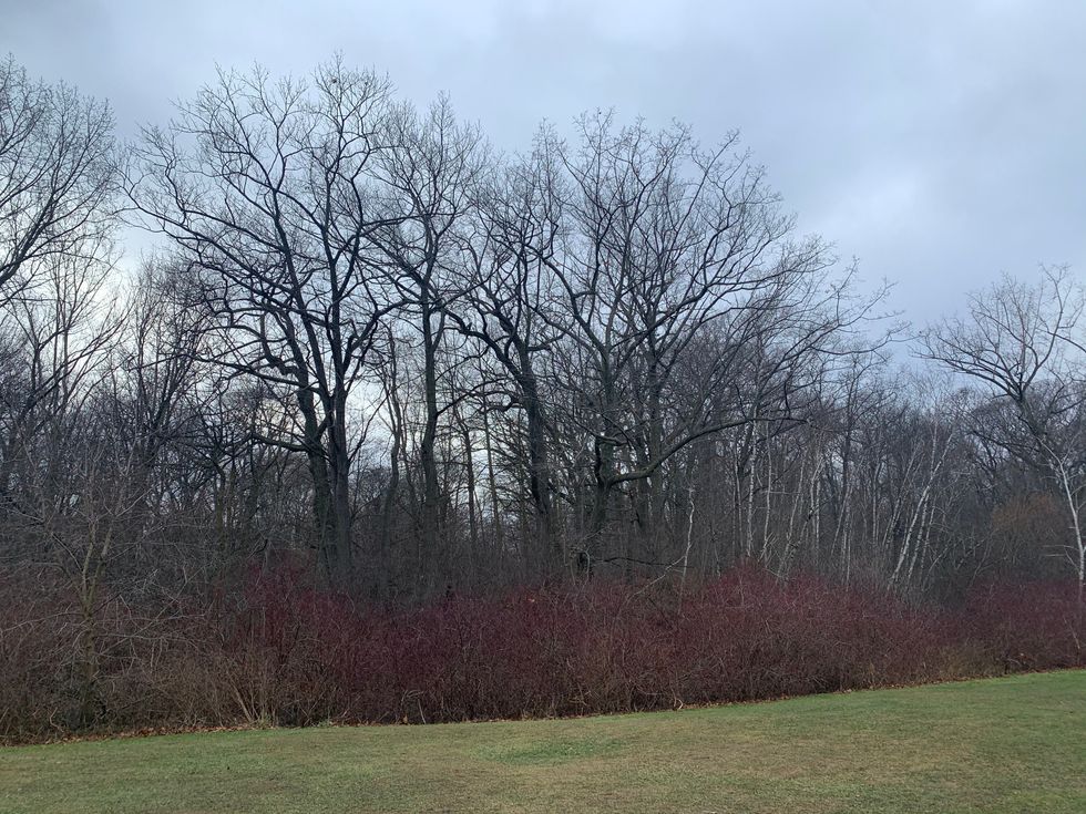 The High Park Statue Is The Creepiest & Most Mysterious New Toronto ...