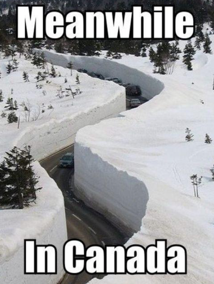 Canadians Meme