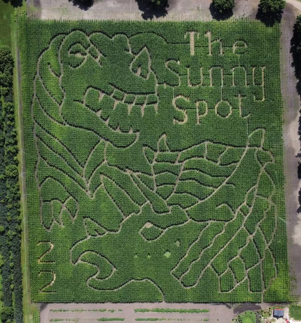 There's An Enormous Dinosaur Corn Maze in Alberta & It's Hosting Spooky ...