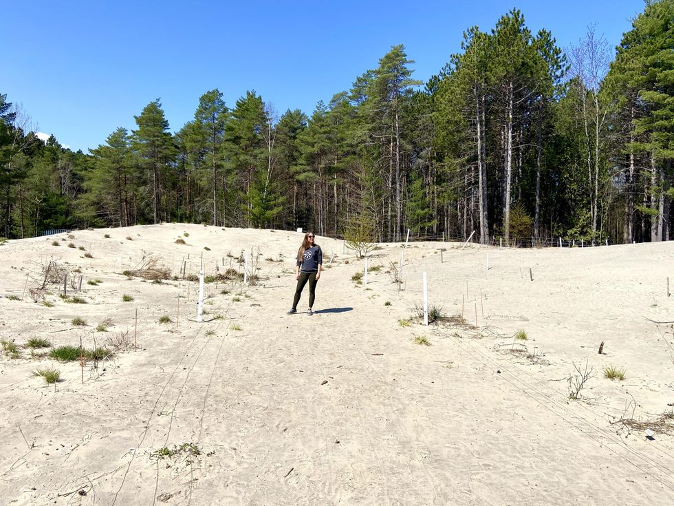 11 Hidden Gems Around Ottawa That Locals Don't Want You To Know About ...